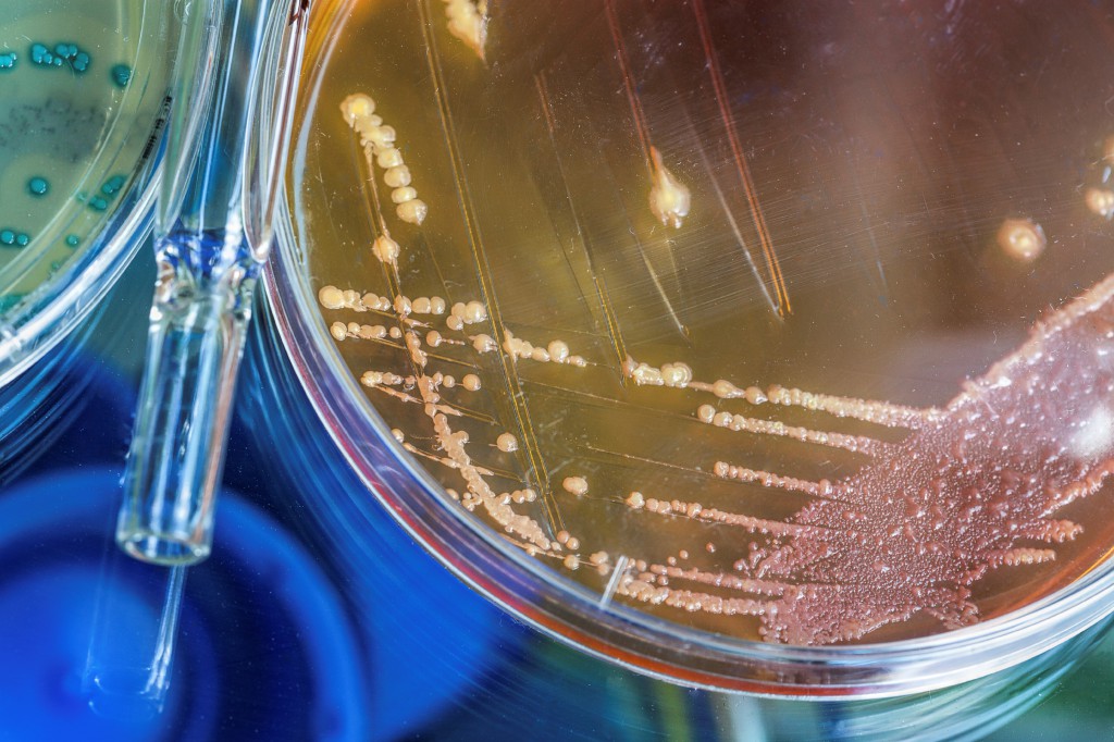 SCIENTIFIC AND TECHNOLOGICAL OBJECTIVES | Biosmart